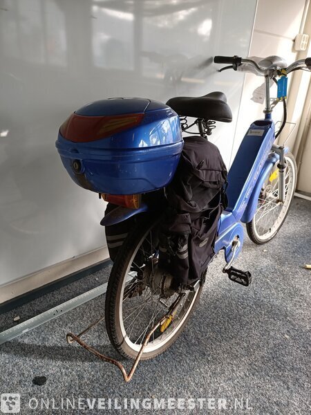 Thompson classic 2 electric bike store